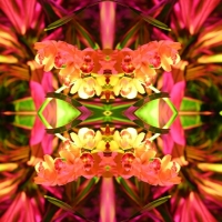 DEBBIE CAIN – San Francisco Women Artists