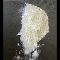 Barbara Landis – San Francisco Women Artists