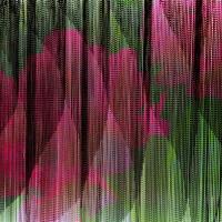 DEBBIE CAIN – San Francisco Women Artists