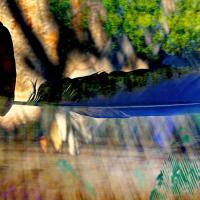 DEBBIE CAIN – San Francisco Women Artists