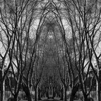 Barbara Landis – San Francisco Women Artists